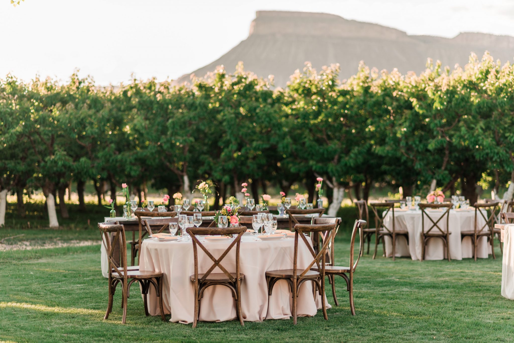 Getting Married in Grand Junction - Amanda Matilda Photography