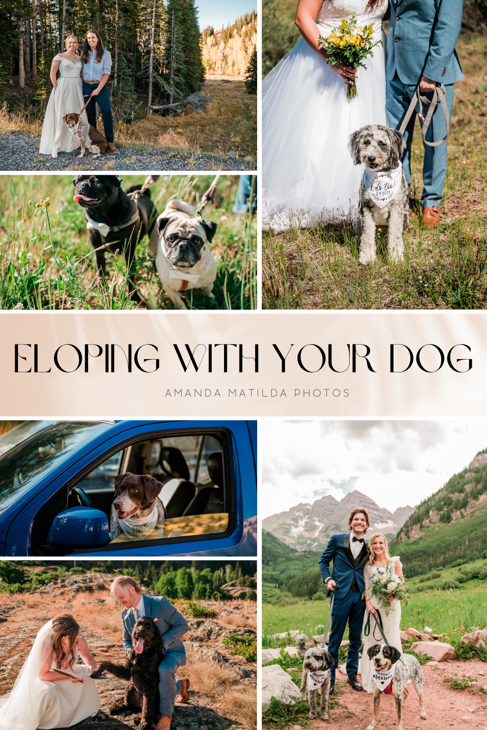 Eloping with Your Dog - Amanda Matilda Photography