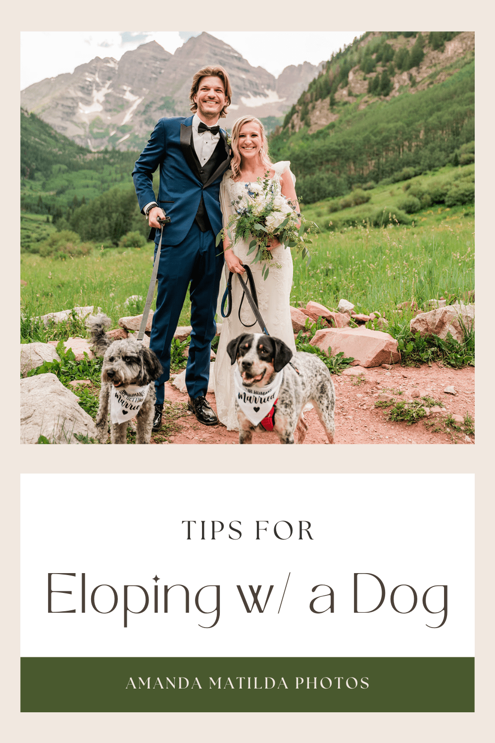 Eloping with Your Dog - Amanda Matilda Photography